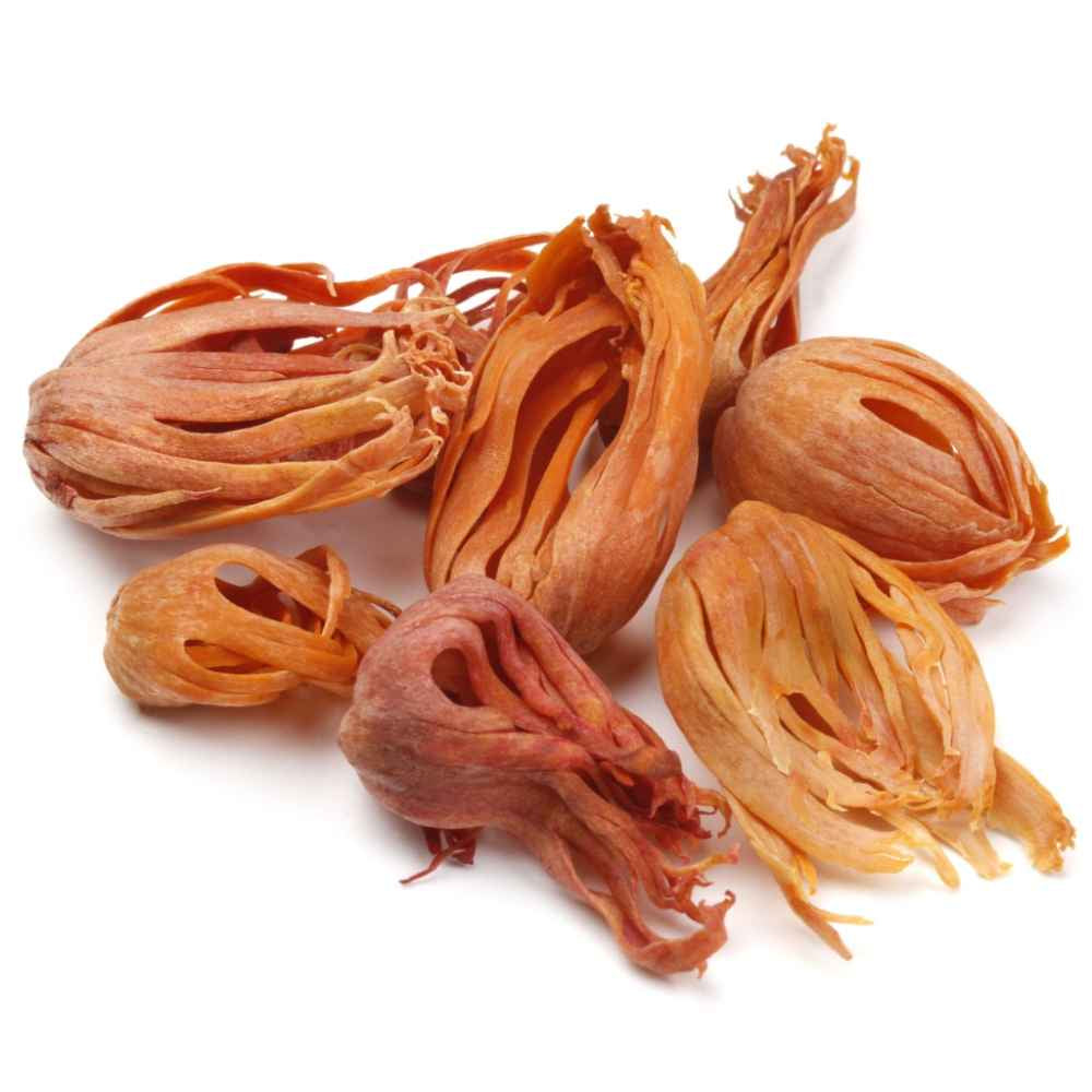 Kunjika Jadibooti Javitri Spice Whole, Kerala Mace, Mace Whole, Javetr